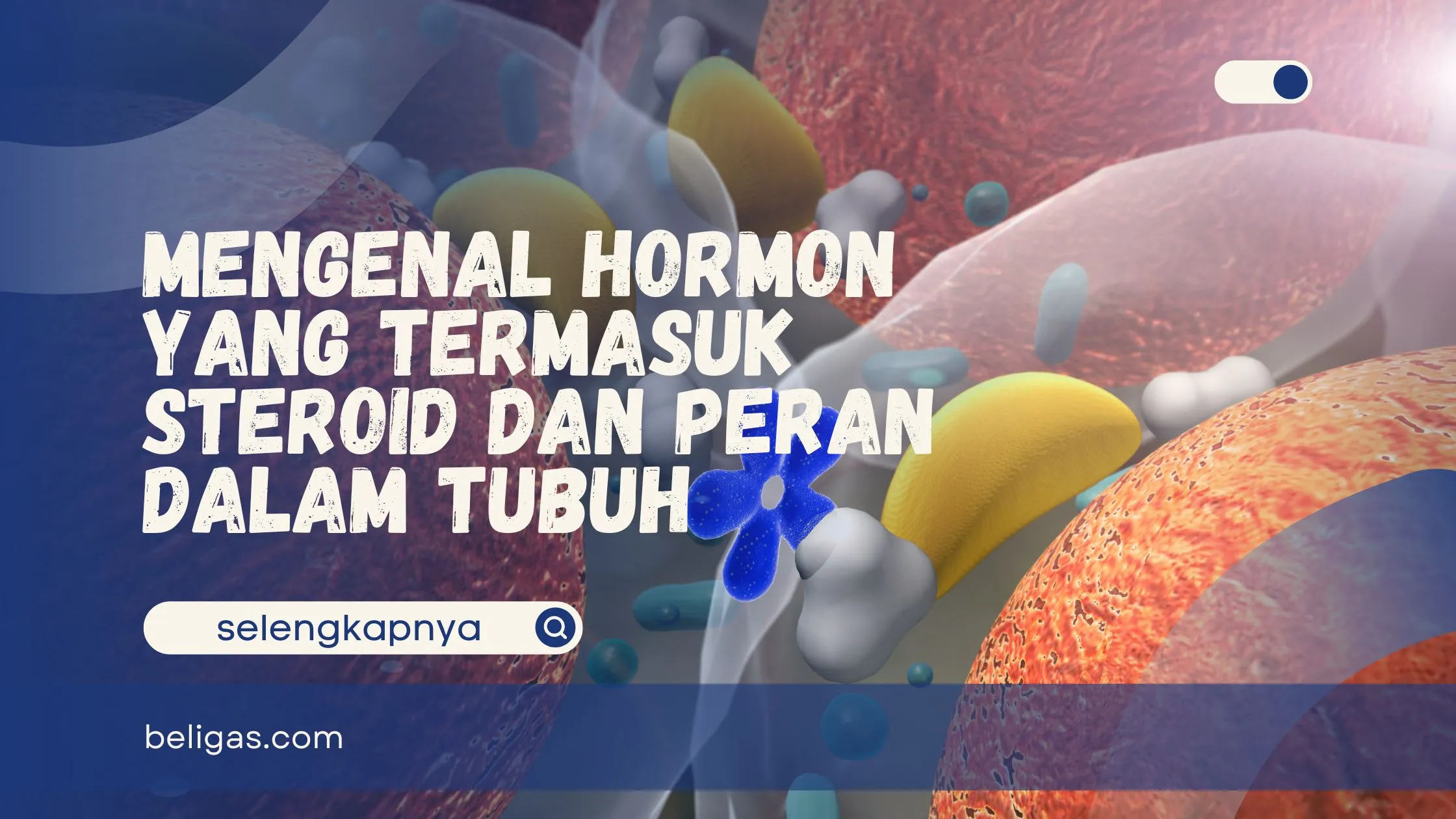 Mengenal Hormon yang Termasuk Steroid dan Peran dalam Tubuh