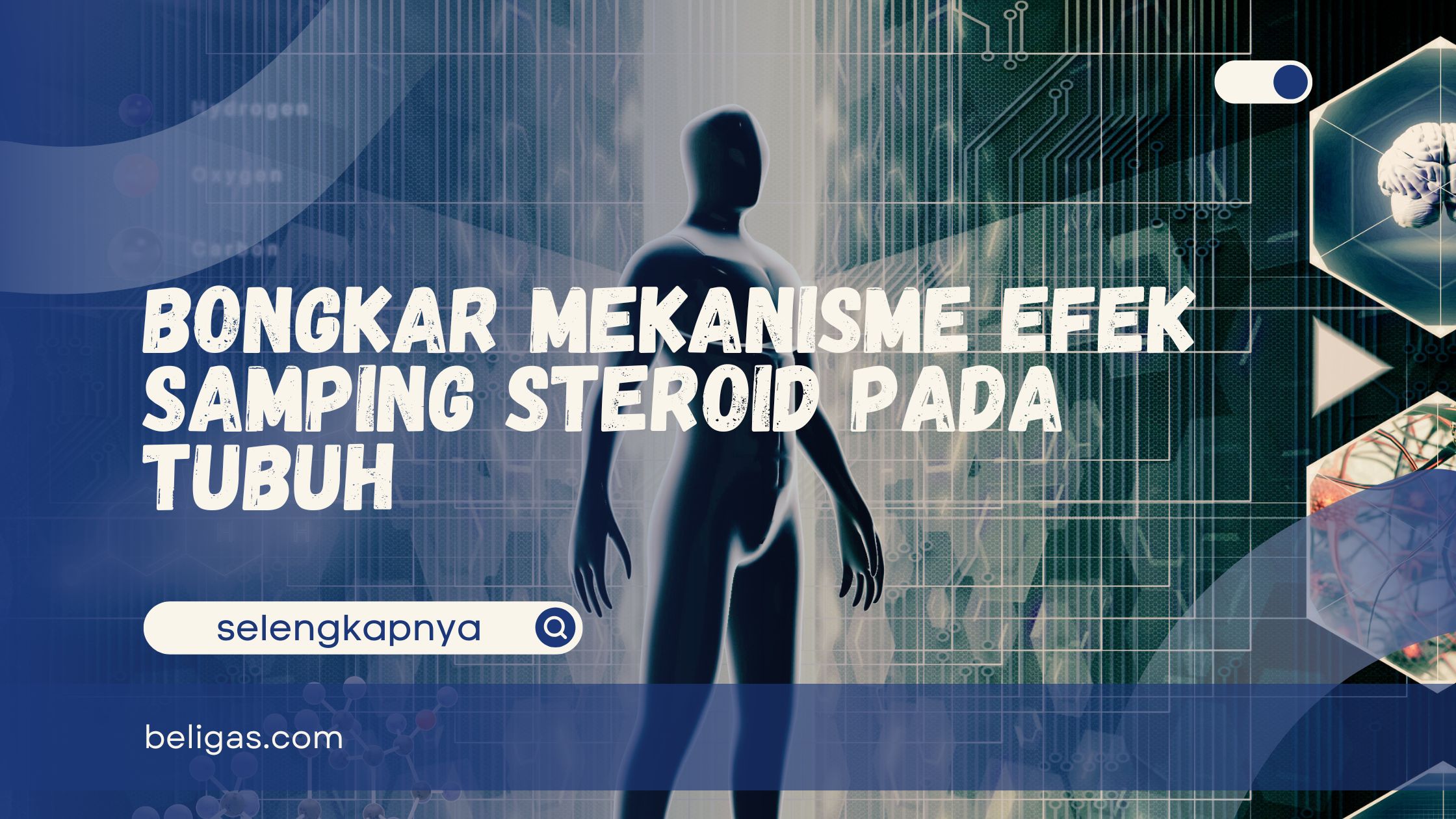 Bongkar Mekanisme Efek Samping Steroid pada Tubuh